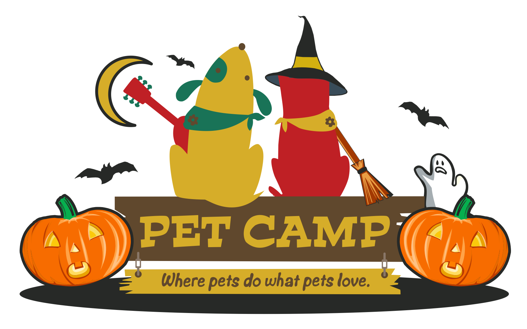 Pet Camp | Overnight Dog & Cat Boarding | Doggie Daycare San Francisco