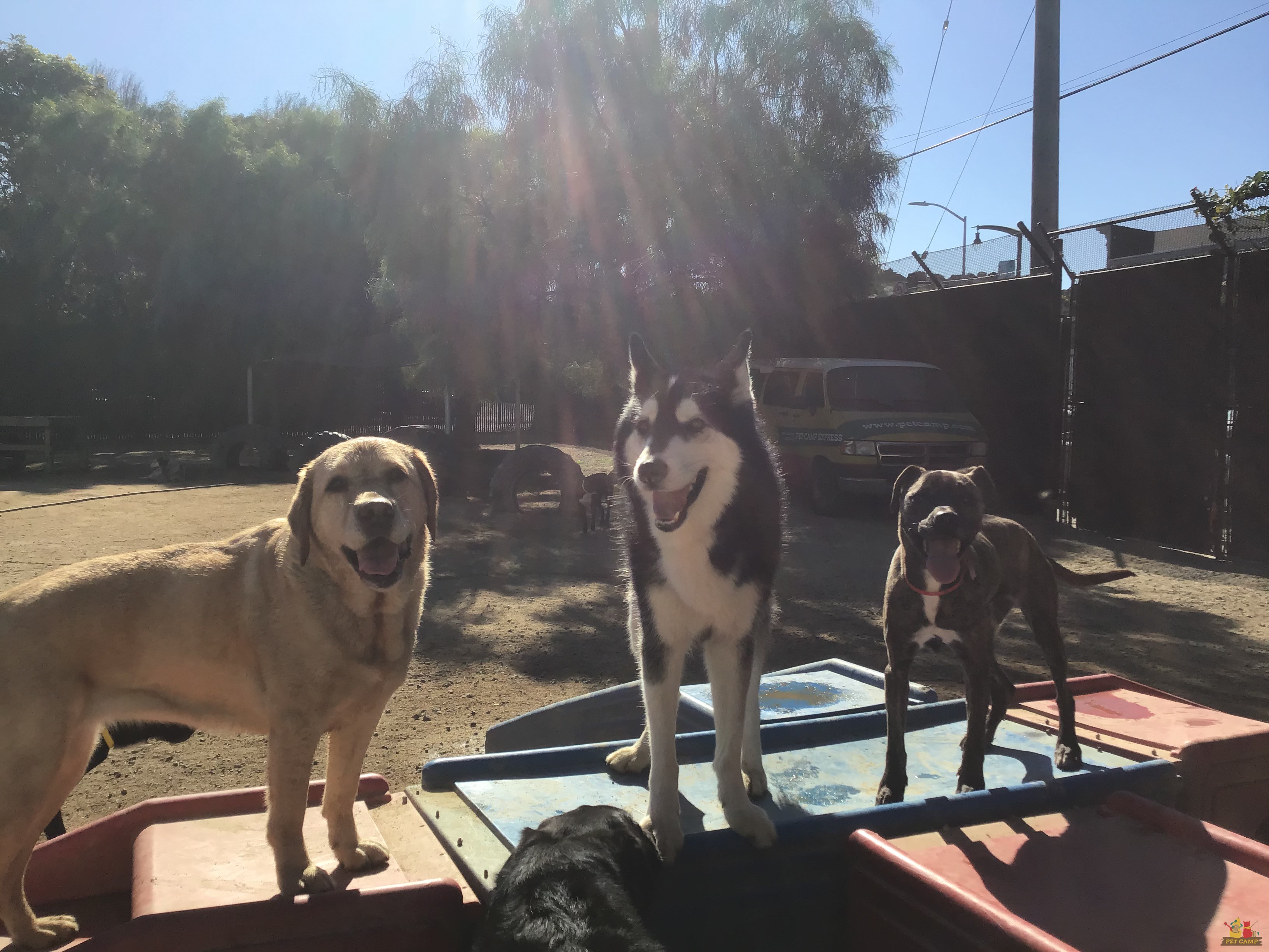 Pet Camp - Main Campground March 3, 2020 | Pet Camp