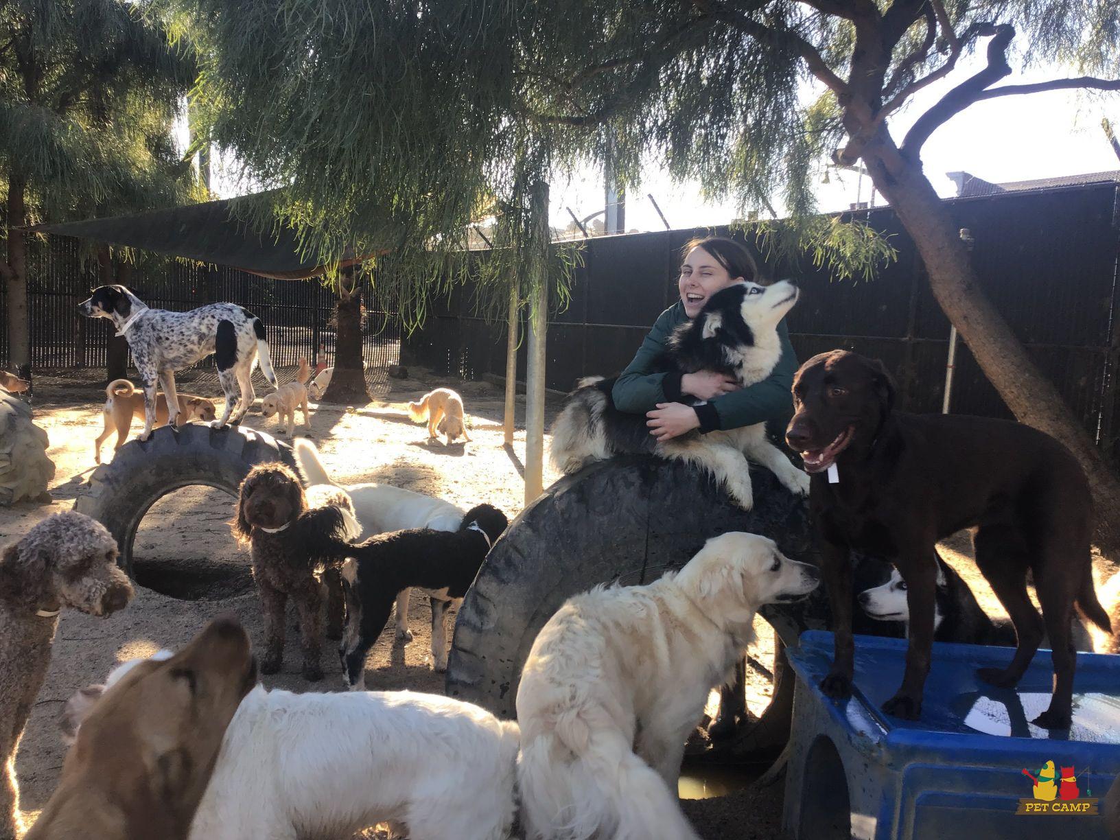 Pet Camp Main Campground - January 1, 2023 | Pet Camp